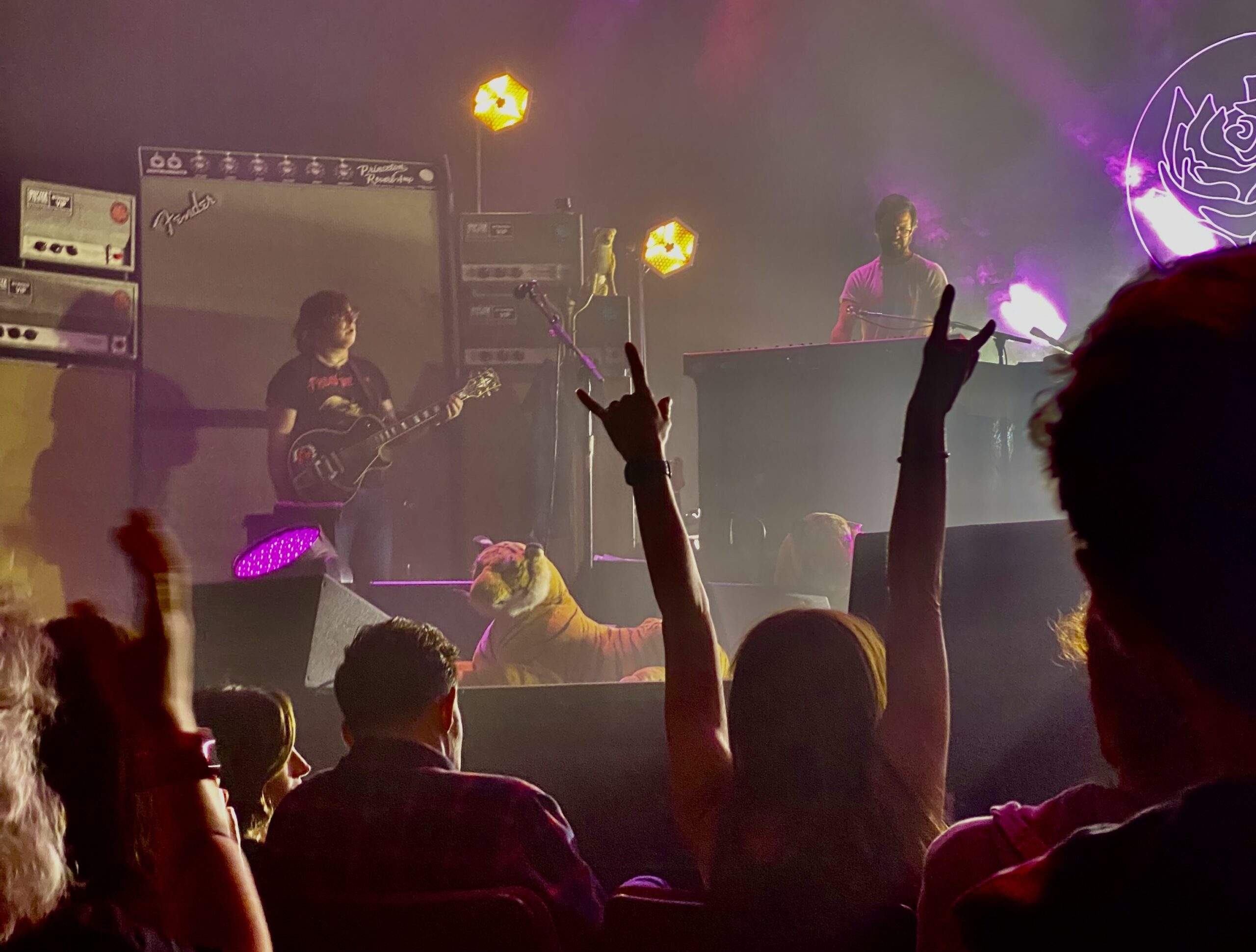Concert Review: Ryan Adams and the Cardinals at the Kings Theatre ...